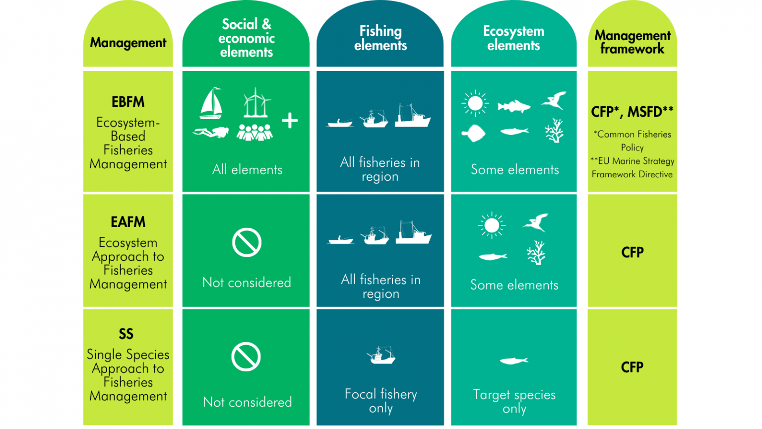 What is Ecosystem Based Fisheries Management? - SEAwise