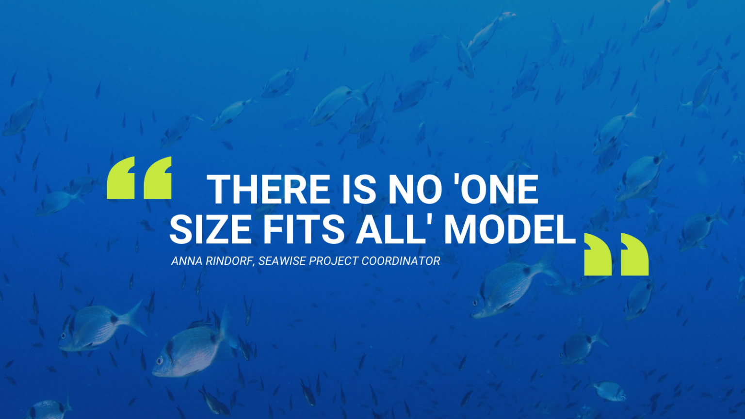 Models for success: a key ingredient in Ecosystem Based Fisheries ...