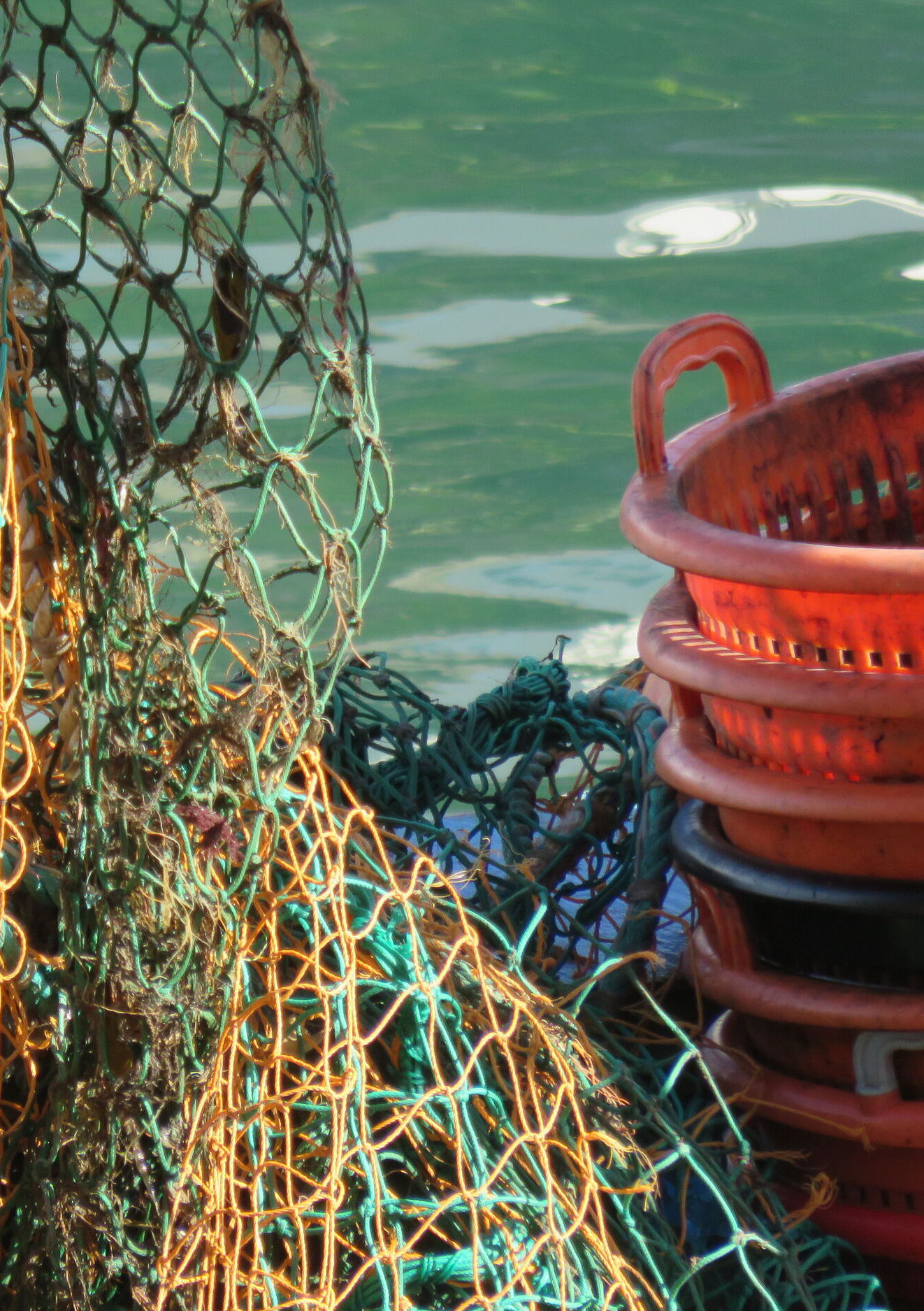 Limiting species of fishing activity using management evaluation models ...