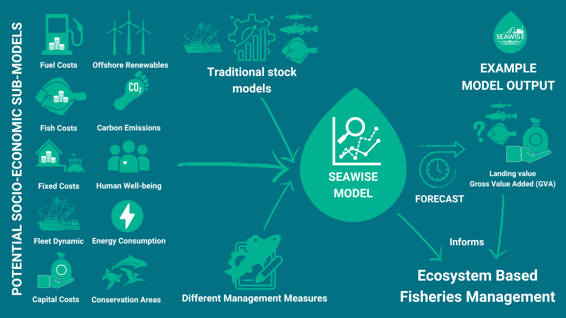 SEAwise models in action: How do they look in practice? - SEAwise