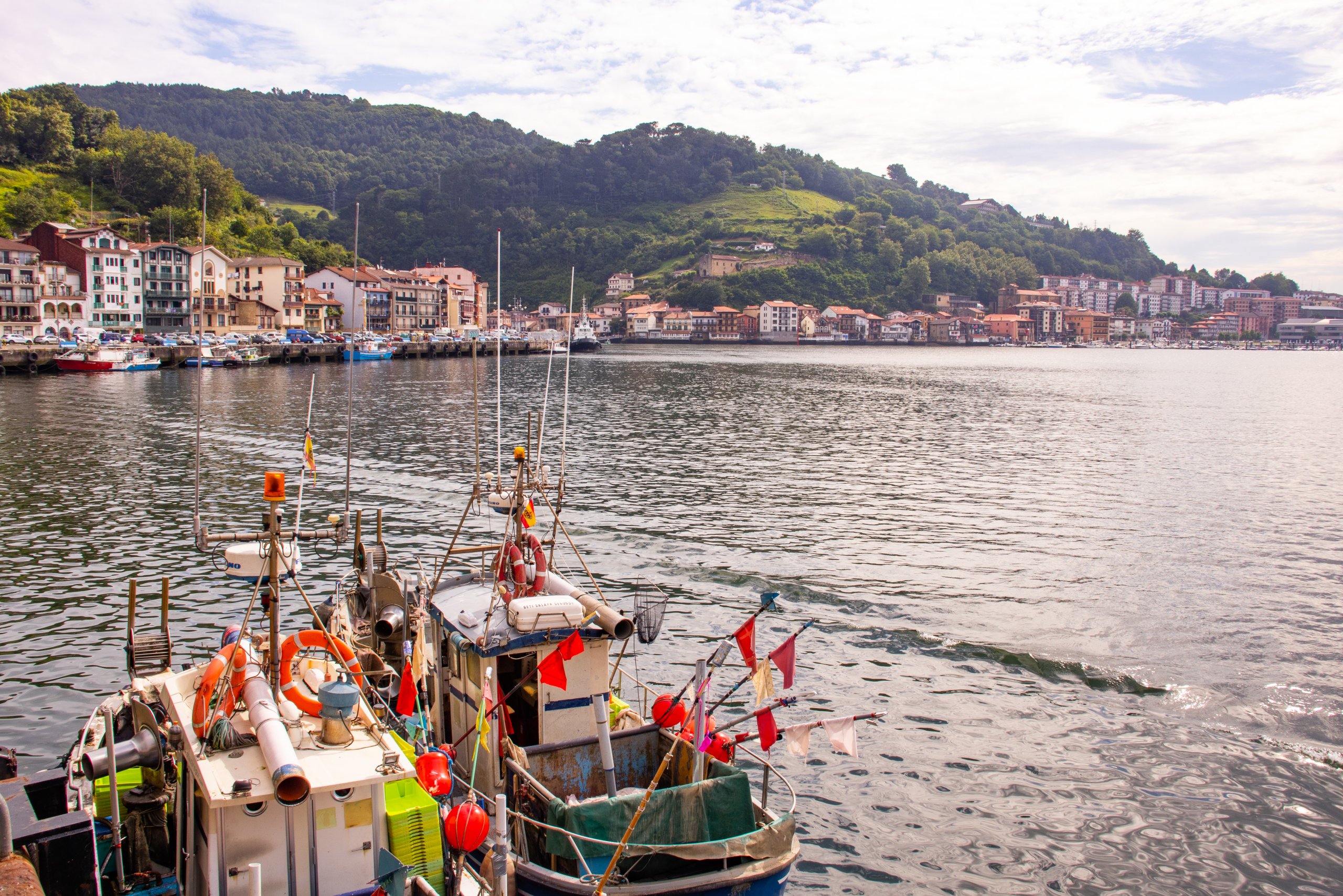 Recommendations for effective spatial management across EU waters - SEAwise